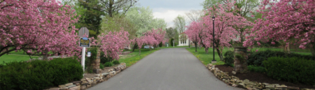 Council & Staff - Milton Borough